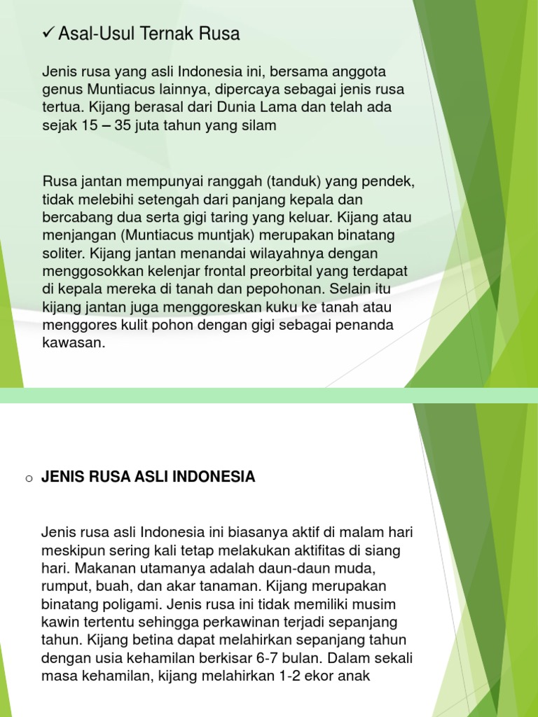 SPPT Ternak Rusa | PDF