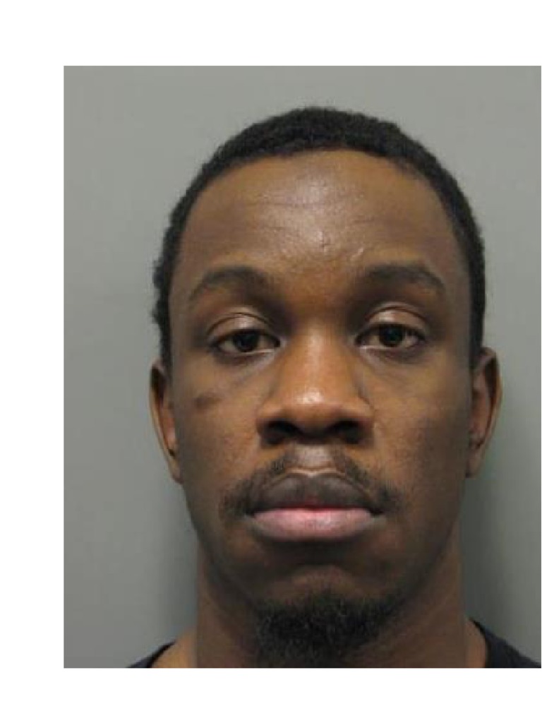 Eric Antonio Alarcon-Ozoria | PDF