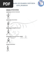 Biografía Raúl Rizo | PDF | Kárate | Artes marciales del este asiático