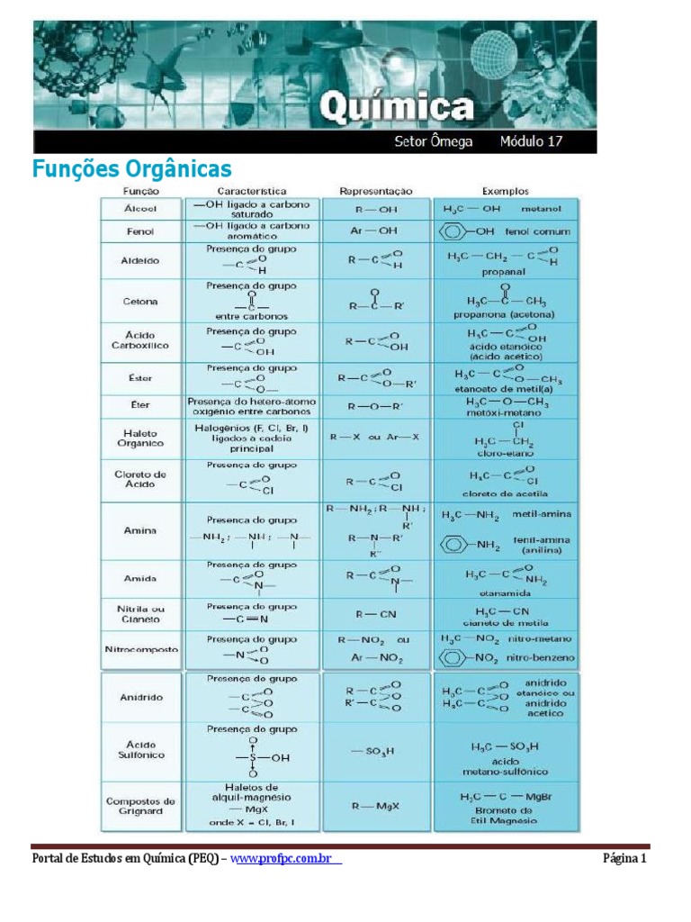 Funções Orgânicas.docx | Éster | Aminoácido