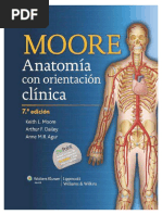 Prometheus - Atlas de Anatomia PDF | PDF | Salud y bienestar