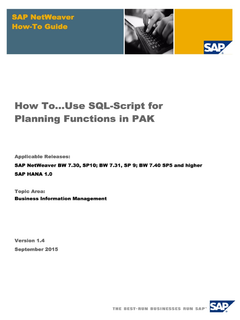 How To..use SQL Script in PAK | PDF