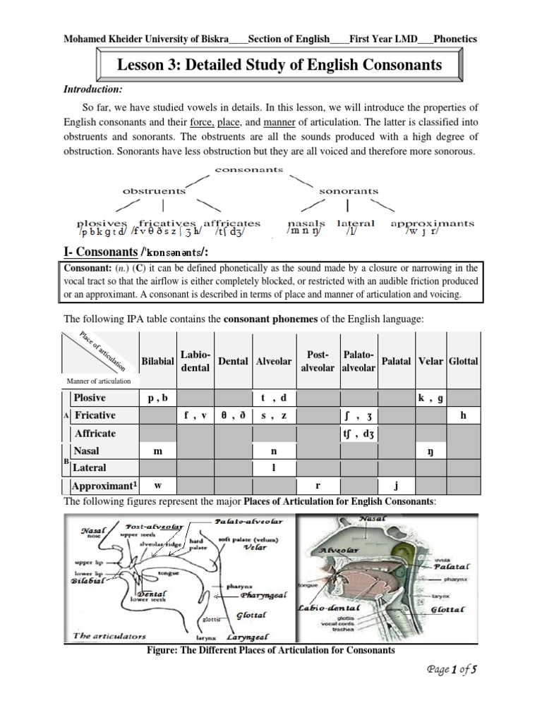 Lesson3 English Consonants Description | PDF | Consonant | Human Throat