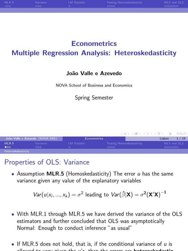 Econometrics Multiple Regression Analysis: Heteroskedasticity | PDF | Heteroscedasticity ...