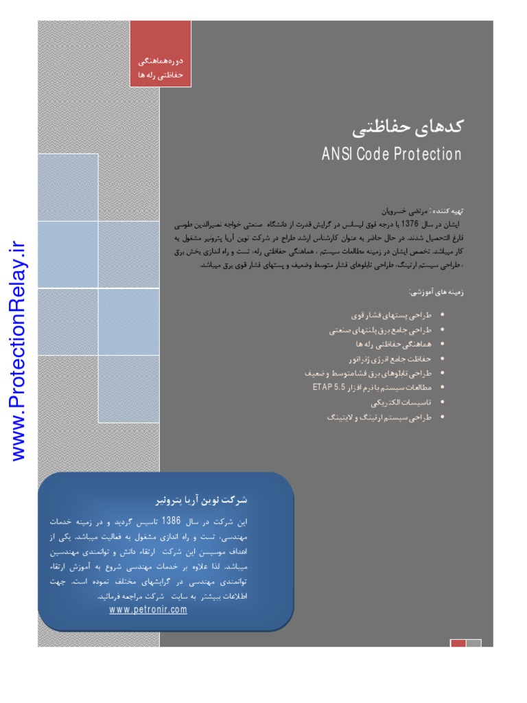 ANSI Code Protection | PDF | Relay | Switch