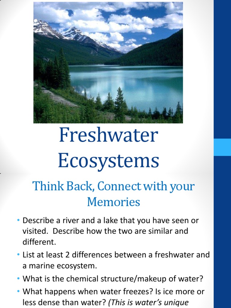 Understanding Freshwater Ecosystems: A Comprehensive Look at the ...