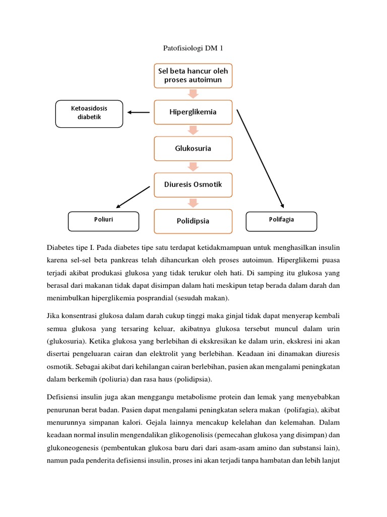 Patofisiologi DM 1 | PDF