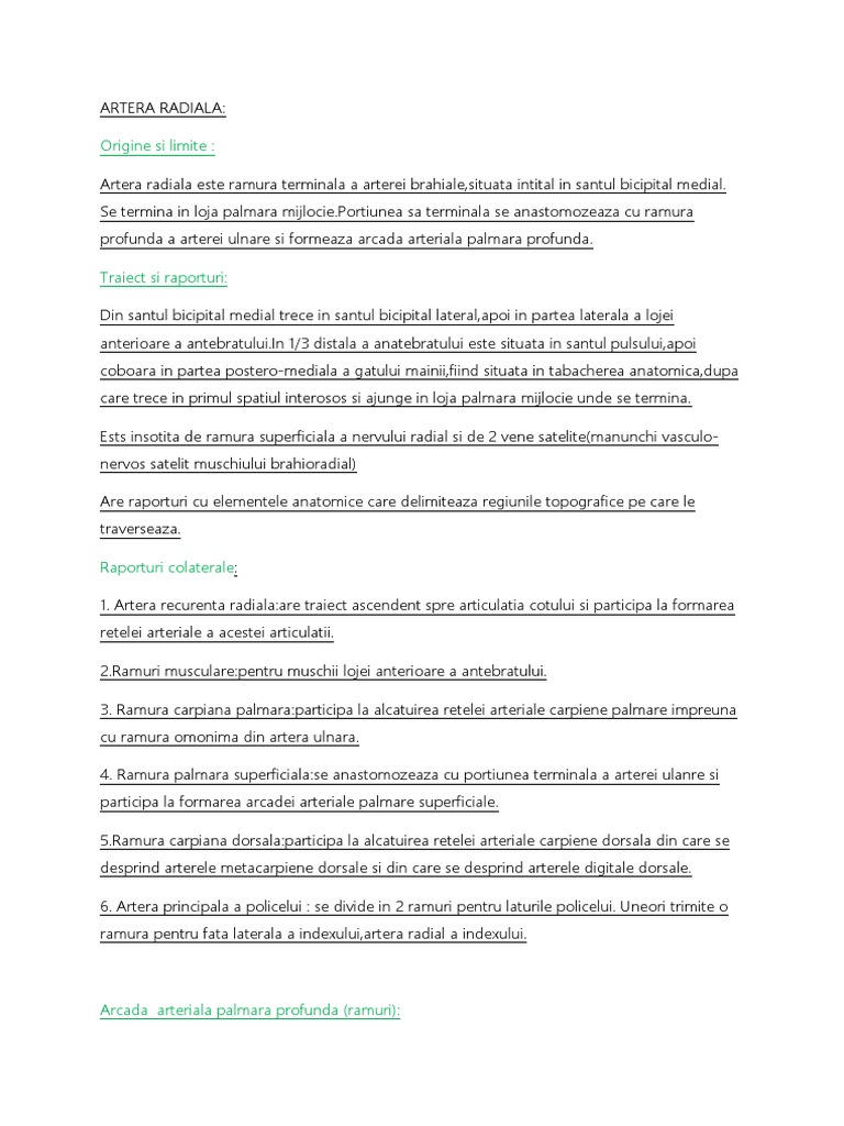 Artera Radiala | PDF