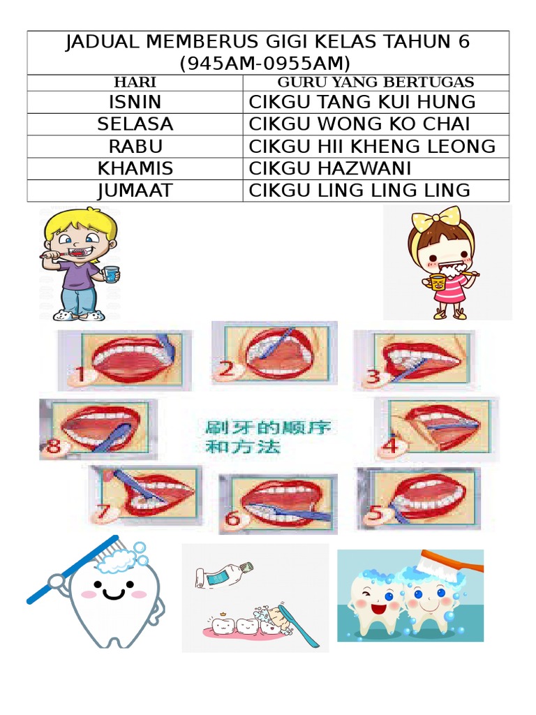 Jadual Memberus Gigi Kelas Tahun 1-6 | PDF