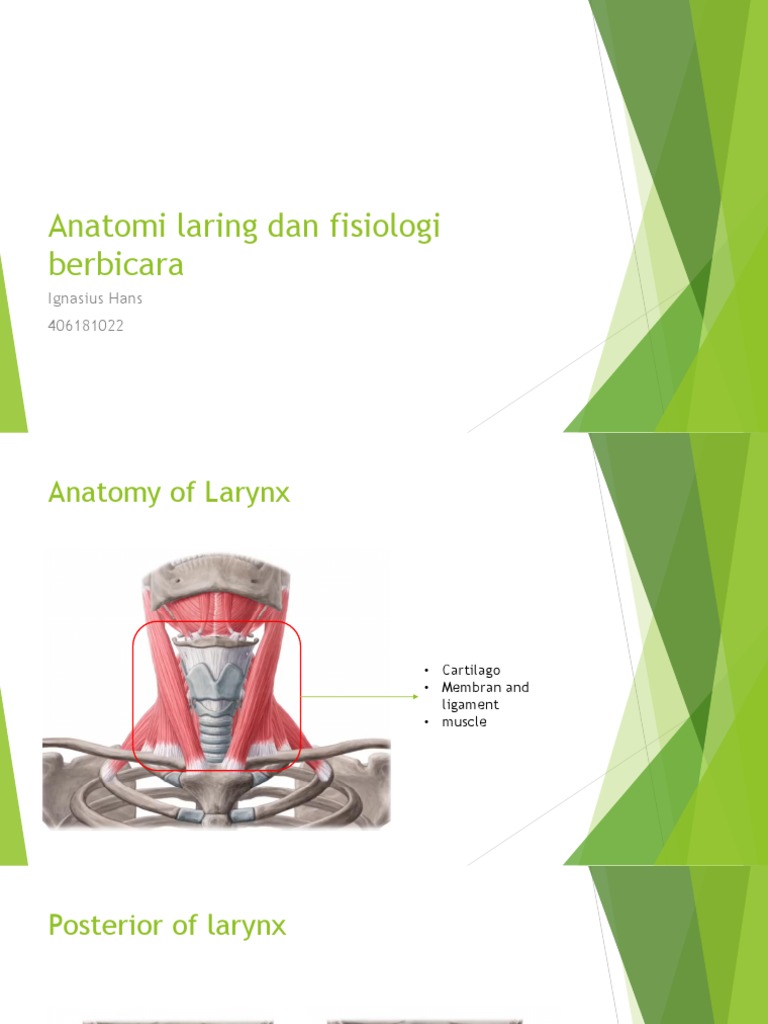 Anatomi Laring Dan Fisiologi Berbicara | PDF