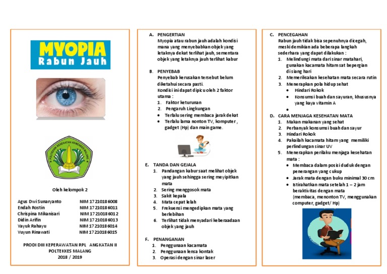 Leaflet Myopia | PDF
