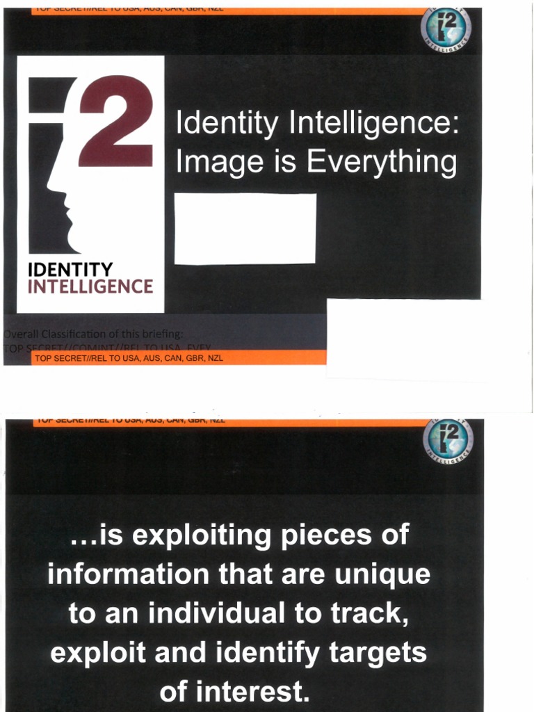 Identity-Intelligence 2 | PDF