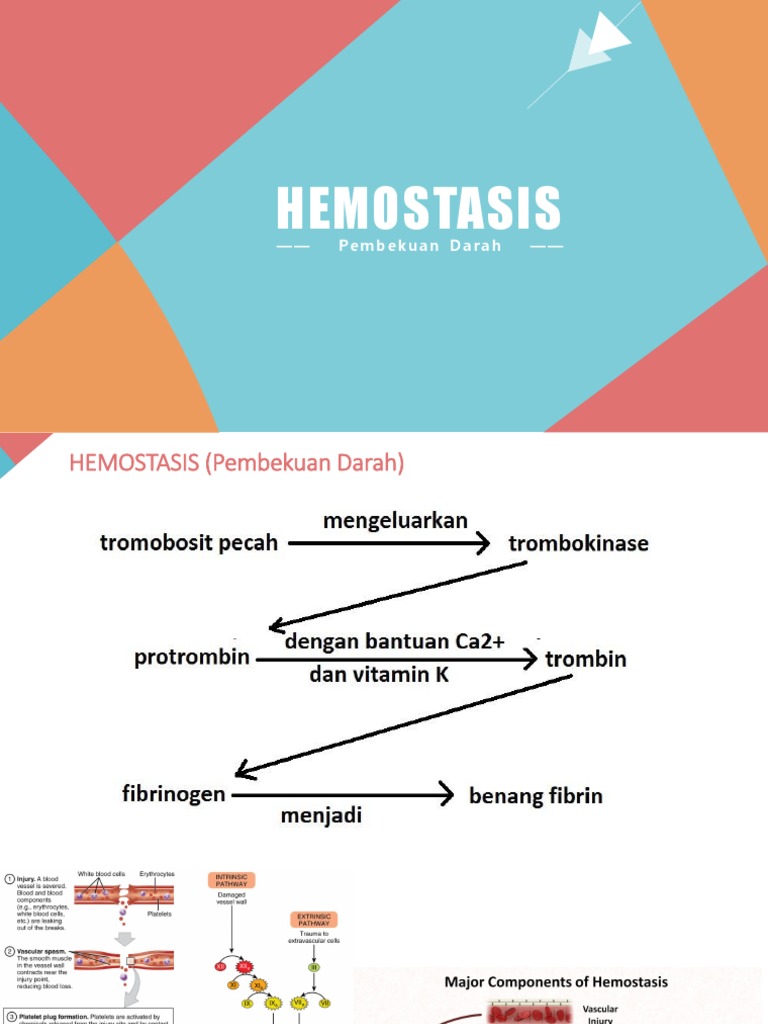 Hemostasis (Pembekuan Darah) | PDF