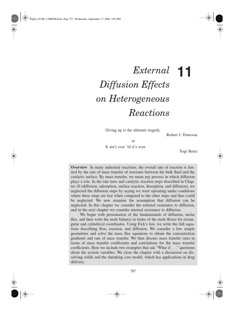 11 PDF | PDF | Diffusion | Flux