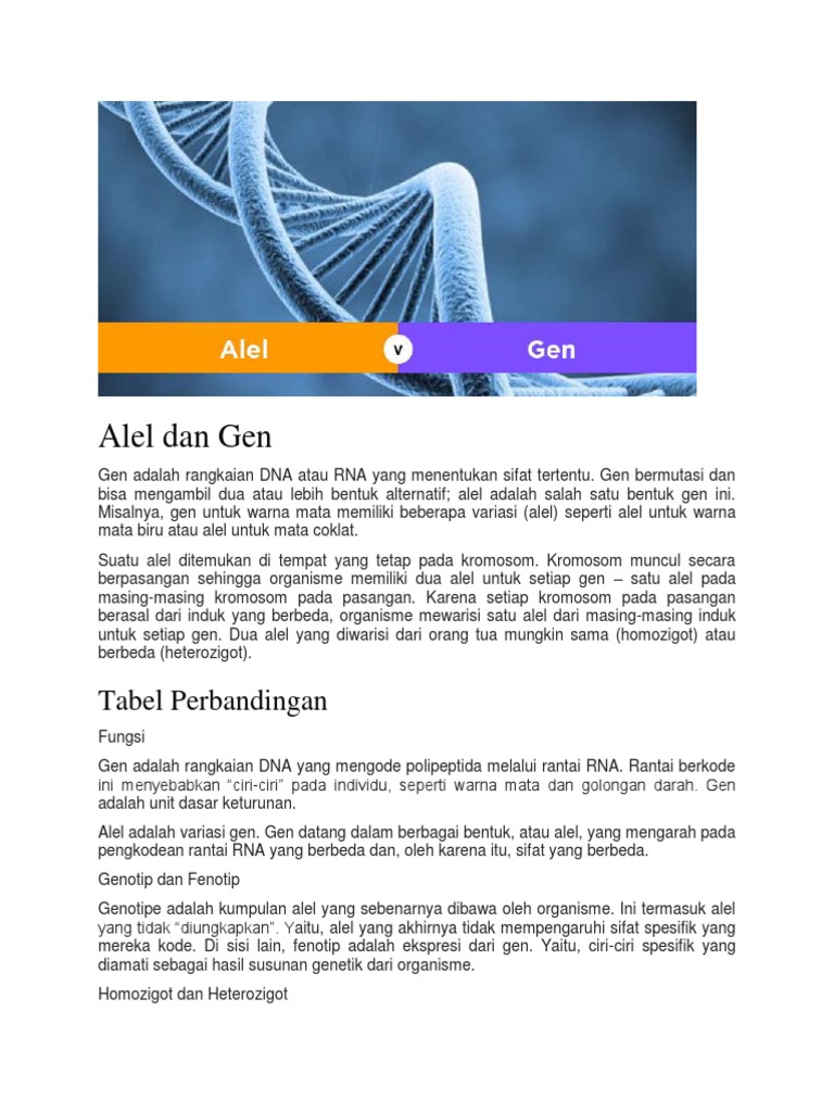 Perbedaan Gen dan Alel dalam Genetika | PDF
