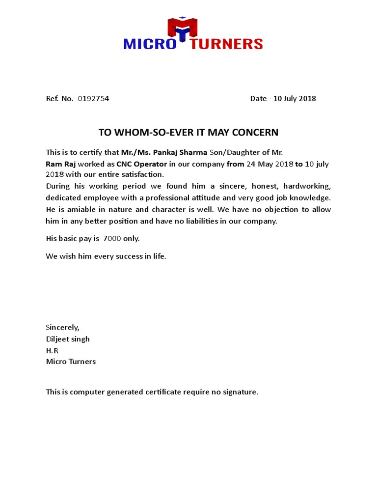 Micro Turner Experience | PDF