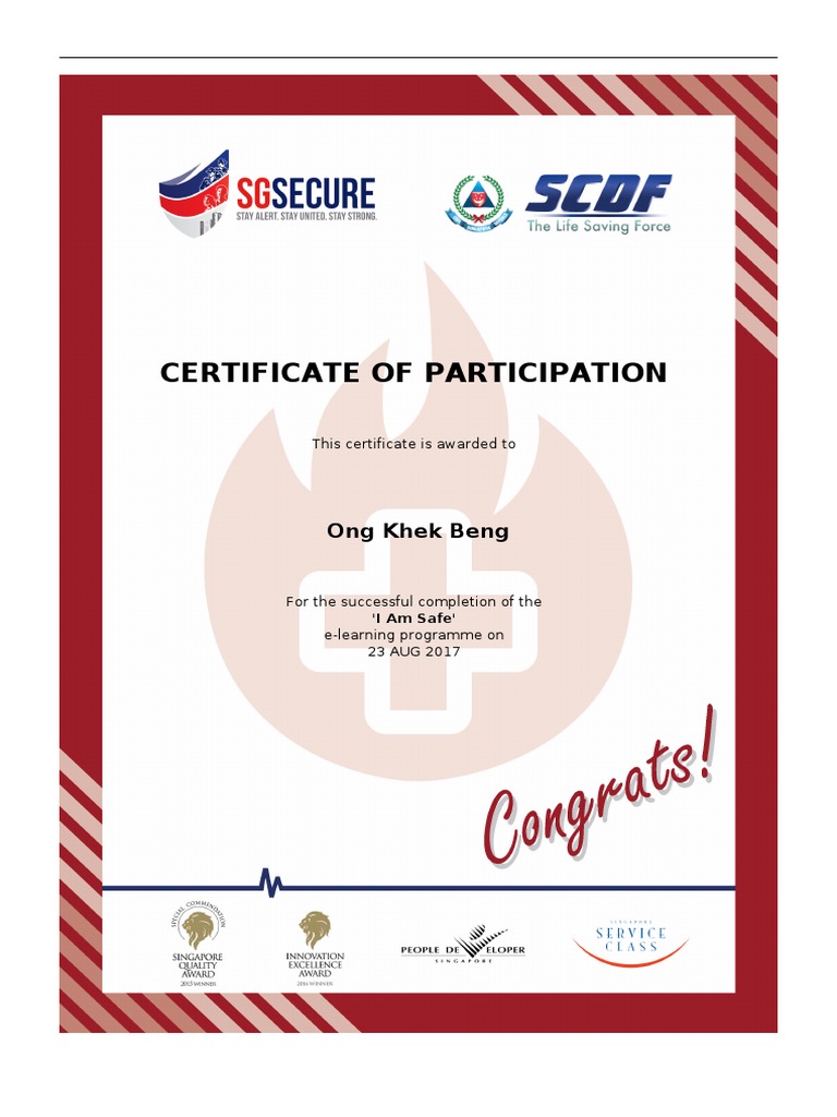 Beng Certificate of Participation | PDF