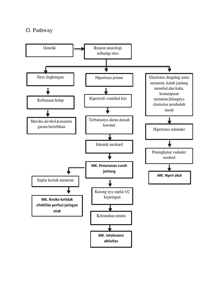 Pathway Hipertensi | PDF
