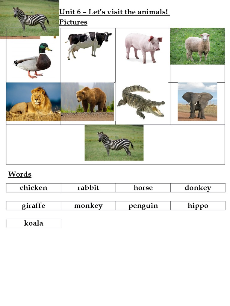 Wild Animals | PDF