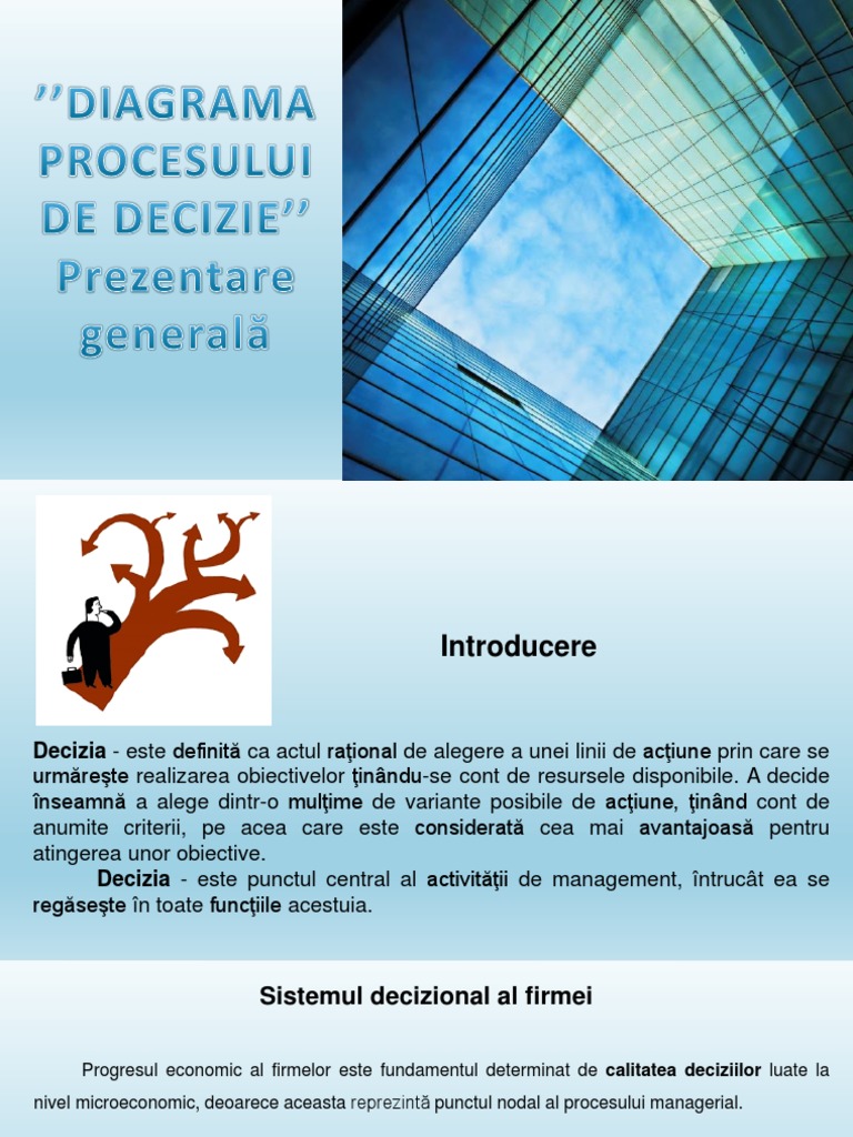 Diagrama Procesului de Decizie | PDF