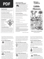 LSU-Ag Planting Guide | PDF | Vegetables | Fertilizer