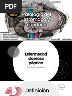 Capítulo 67 - Anatomía y Fisiología Del Páncreas | PDF | Páncreas | Abdomen