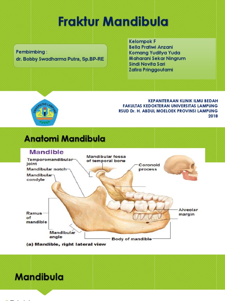 Fraktur Mandibula | PDF