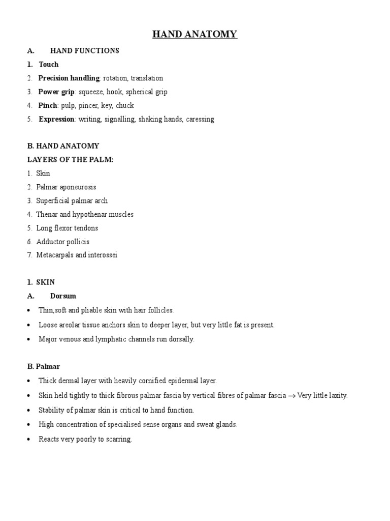 Hand Anatomy: A. Hand Functions 1. Touch | PDF | Hand | Thumb