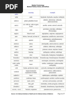 Medical Terminology Medical Terminology Made Easy | PDF | Anatomical ...