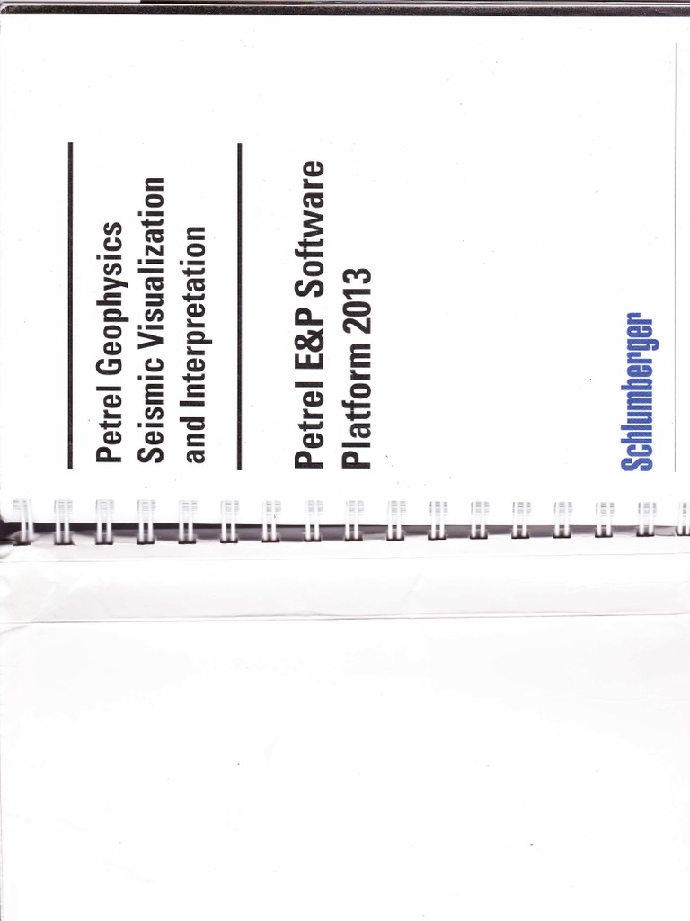 Manual Petrel | PDF | 3 D Computer Graphics | Graphics