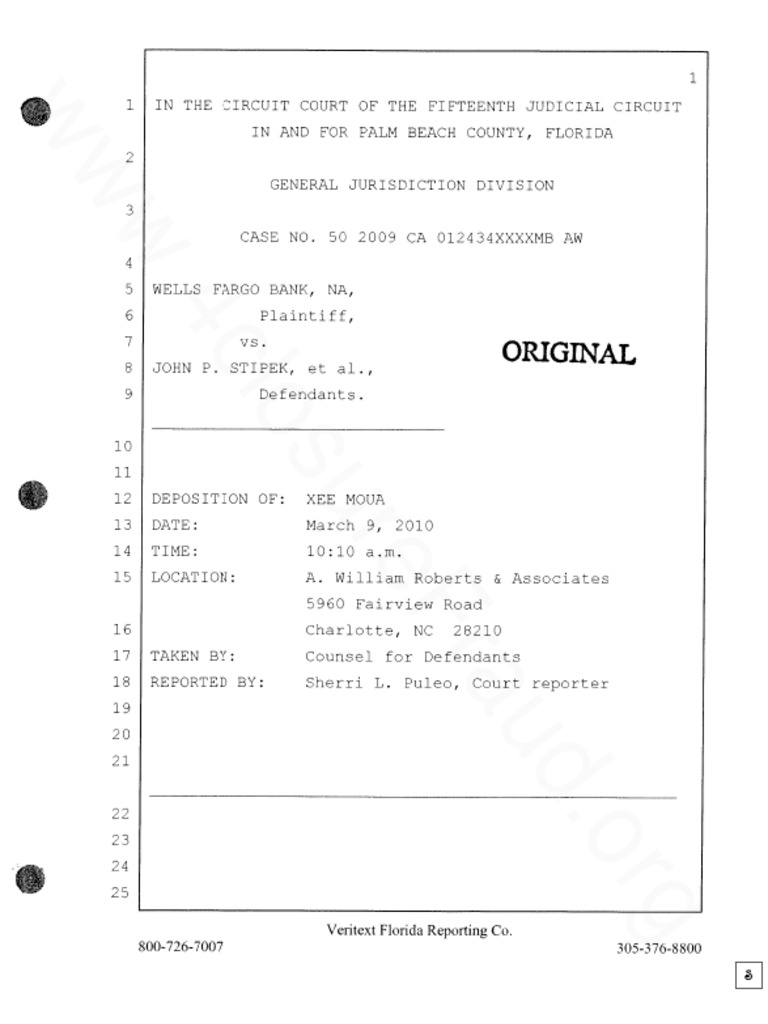 Deposition Transcript of Xee Moua