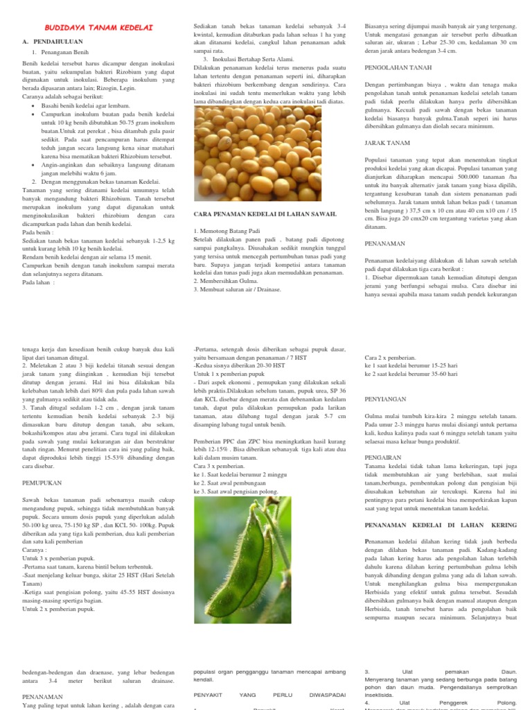 LPM Contoh | PDF | Teknologi & Rekayasa