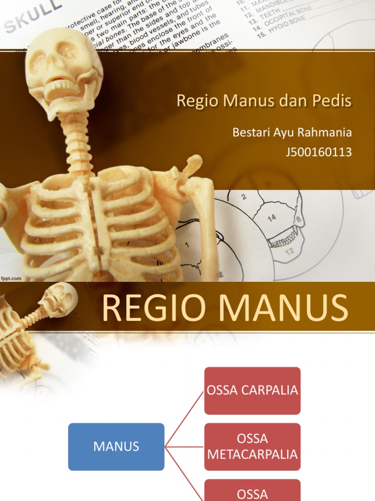 Regio Manus Dan Pedis: Bestari Ayu Rahmania J500160113 | PDF | Kajian ...