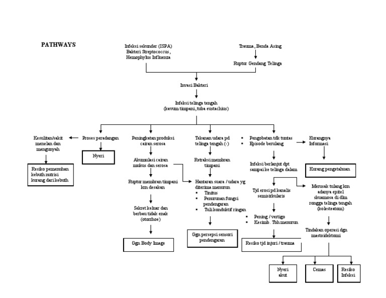 Pathway Otitis Media | PDF