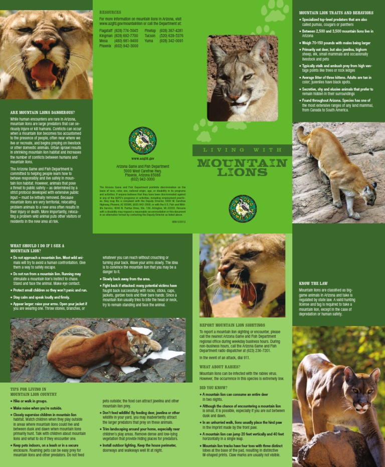 Living With MtnLions | PDF | Cougar | Lion