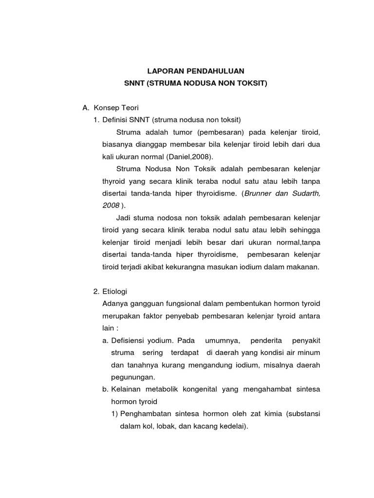 Laporan Pendahuluan SNNT | PDF