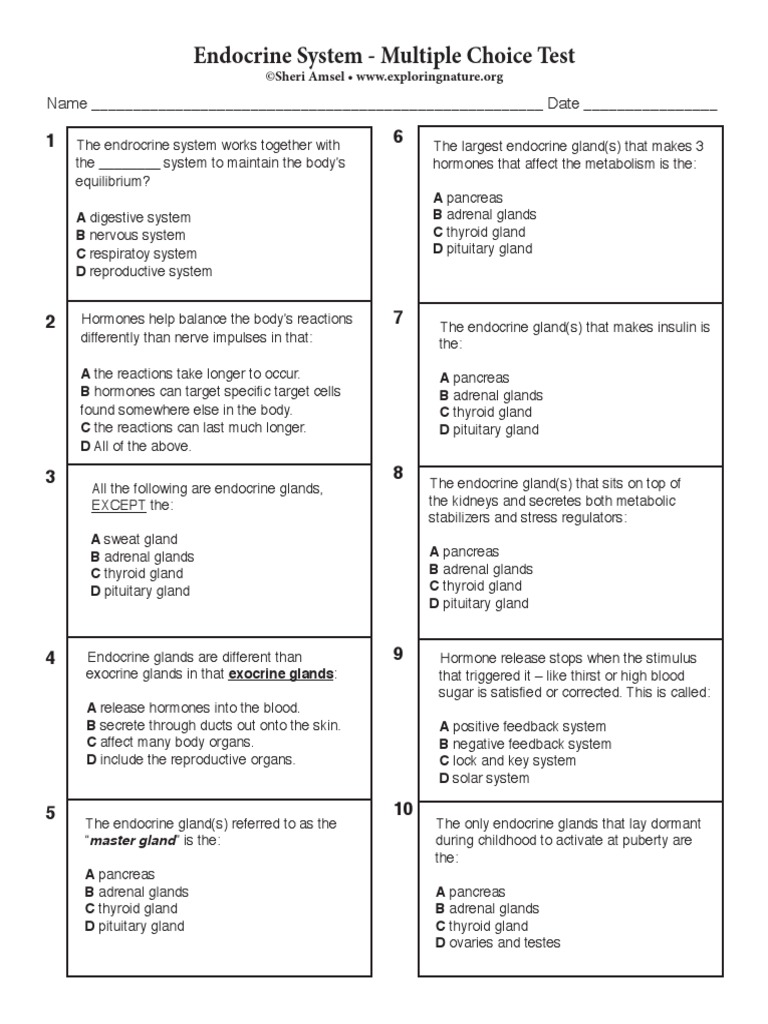 Endocrine System - Multiple Choice Test | PDF | Endocrine System | Glands