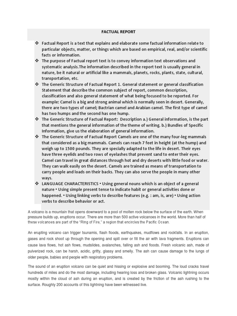 Factual Report | PDF | Types Of Volcanic Eruptions | Camel