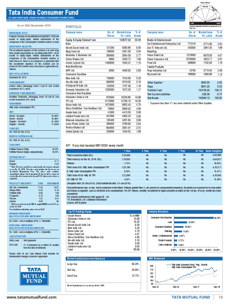 India Consumer Fund Portfolio | PDF | Sharpe Ratio | Equity (Finance)
