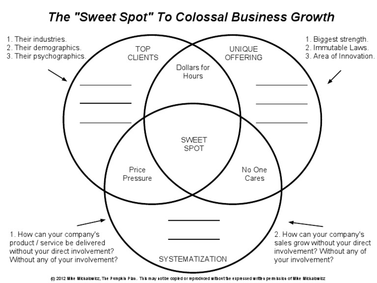 Sweet Spot for Business Growth | PDF