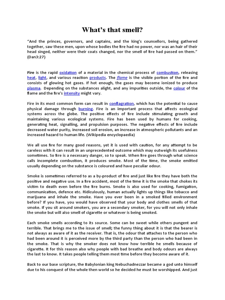 What's That Smell?: Fire Is The Rapid | PDF | Fires | Religion And Belief