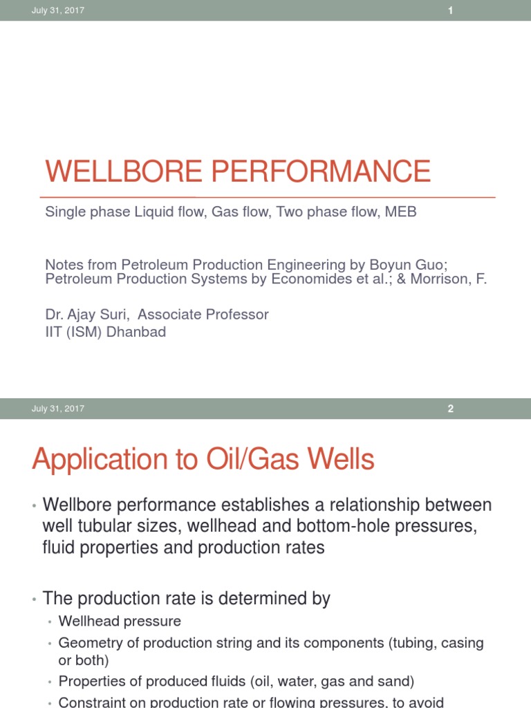 Wellbore Performance in Oil/Gas Wells | PDF | Fluid Dynamics | Flow ...