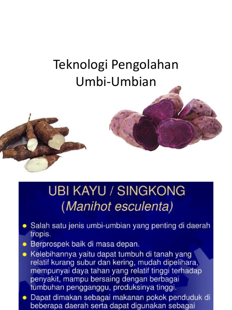 Umbi Umbian | PDF