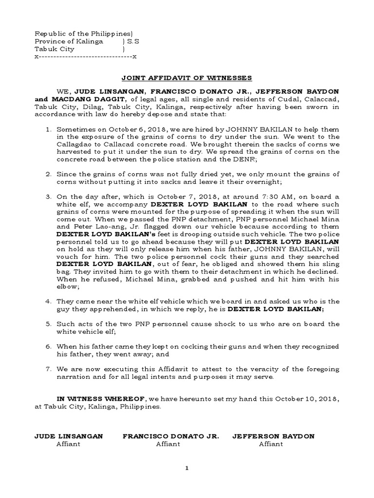Joint Affidavit of Witness | PDF