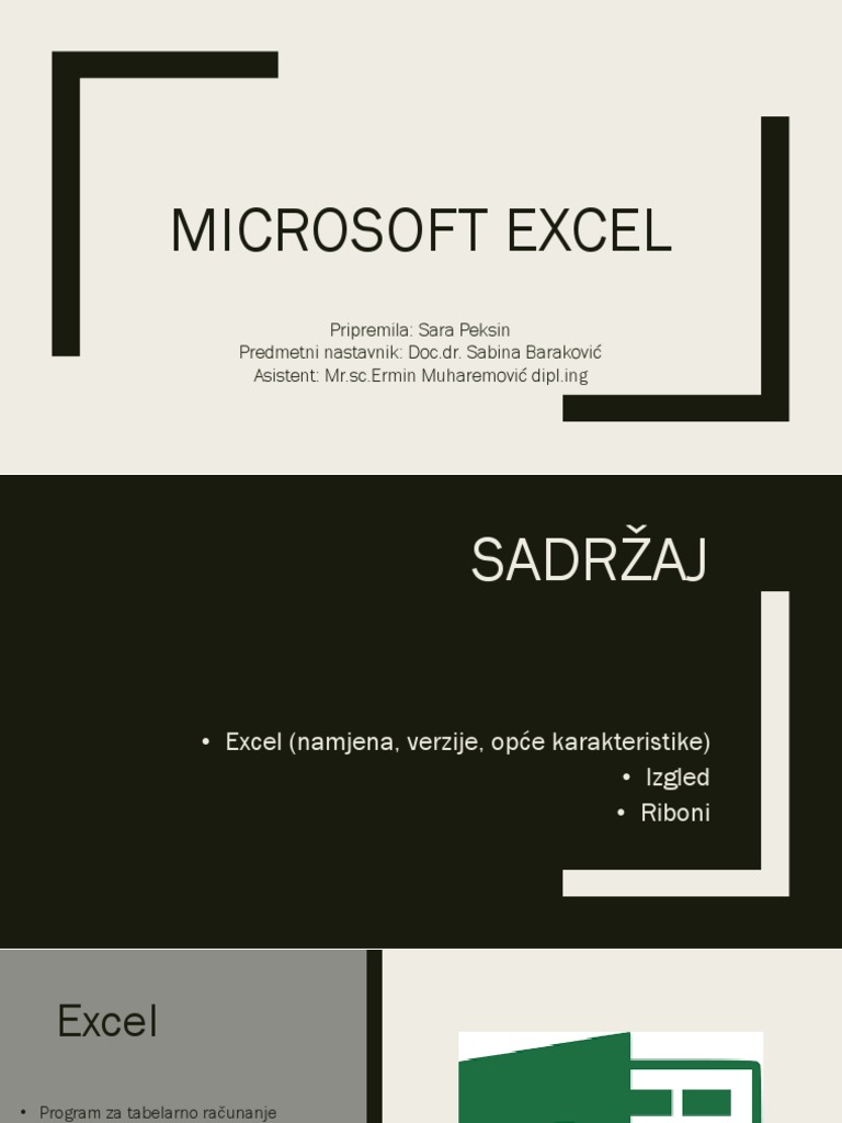 Microsoft Office Excel | PDF