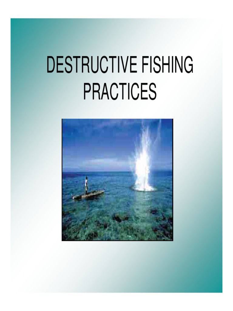 Destructive Fishing Practices | PDF | Coral Reef | Coral