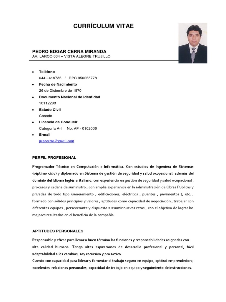 CV Pedro Cerna | PDF | Crucero | Microsoft