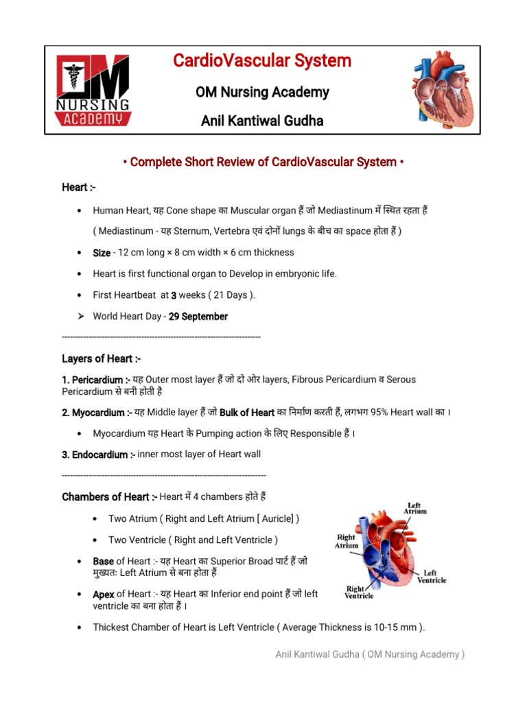 Cardiovascular Short Notes Review 1 PDF | PDF