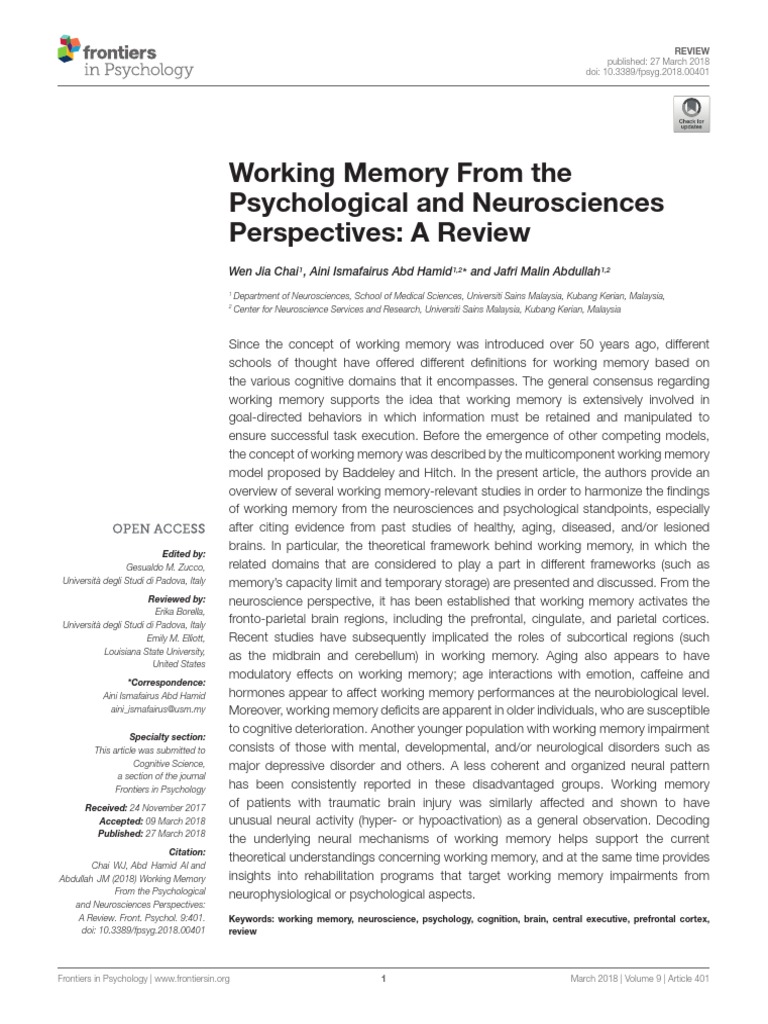 Working Memory | PDF | Working Memory | Dorsolateral Prefrontal Cortex