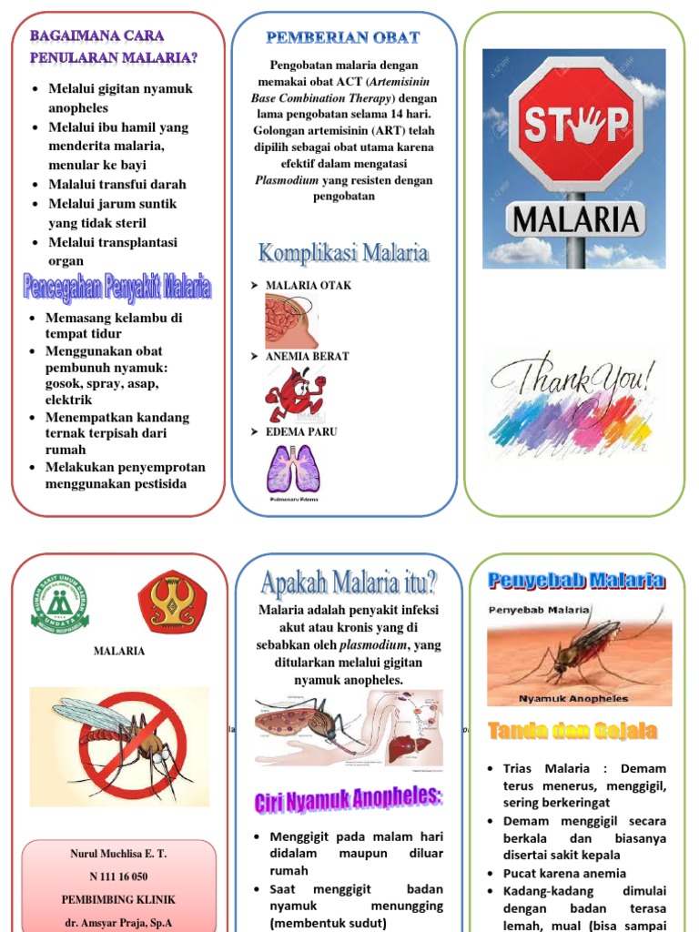 Leaflet Malaria | PDF